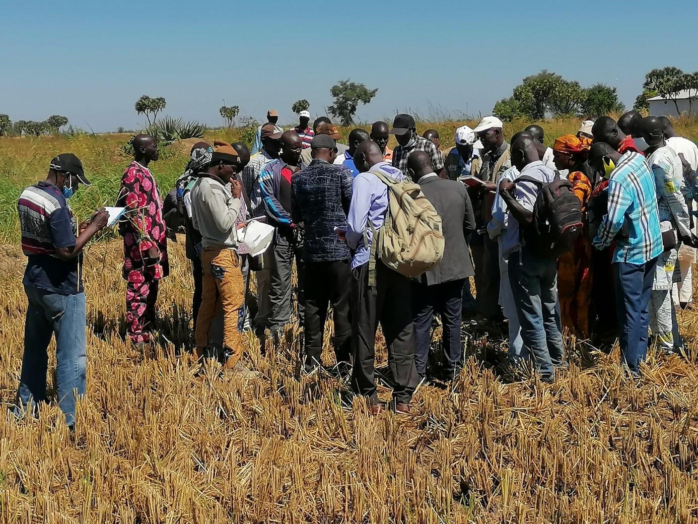 Projet d'Urgence et de Lutte contre les Inondations (PULCI) | TPF